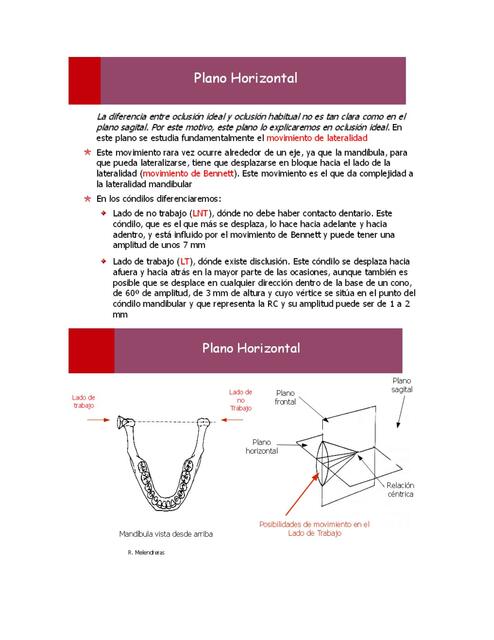 Plano horizontal odontología | Apuntes Salud Dental | uDocz