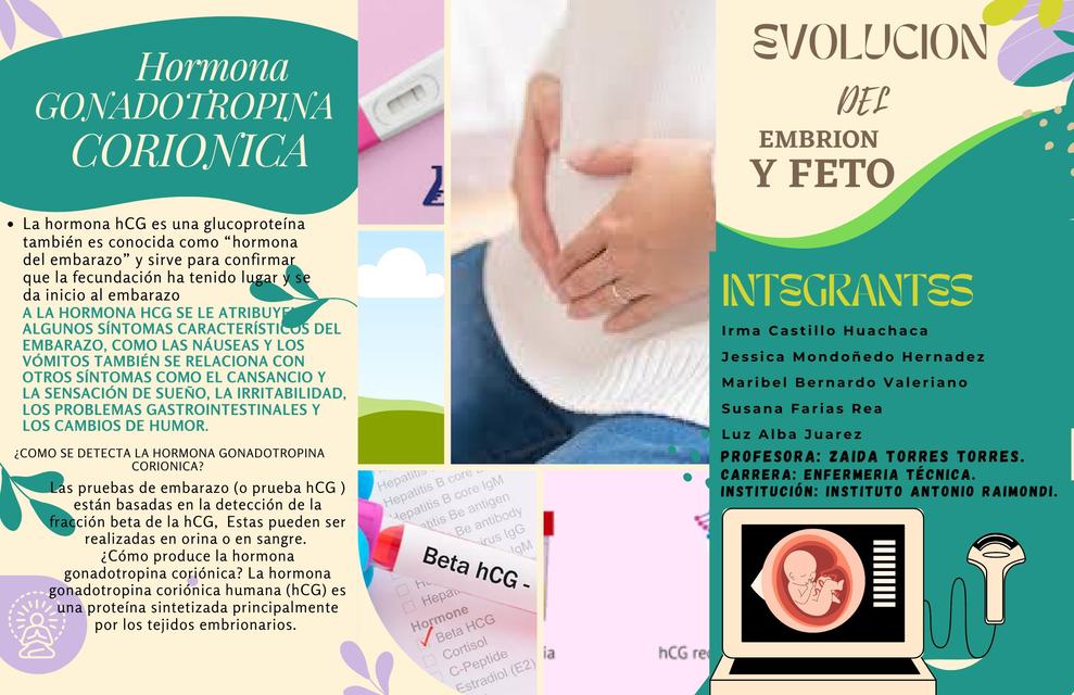 Evolución del embrión y feto | YORDI VARGAS | uDocz