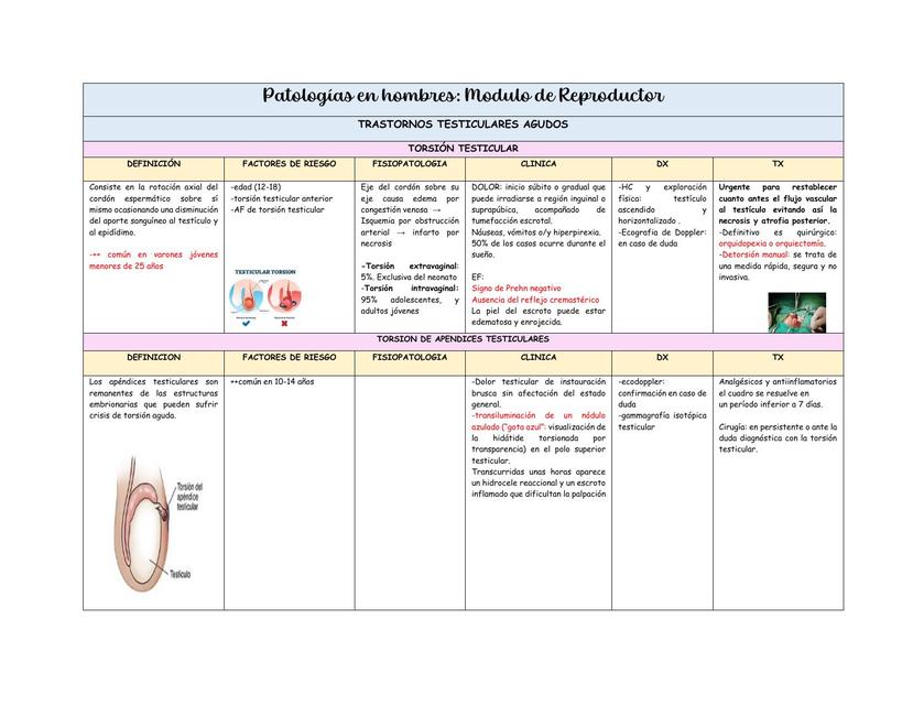 Patologías en hombres: Modulo de Reproductor | anahi zarate | uDocz