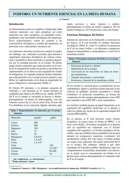 Fósforo: Un Nutriente Esencial en la Dieta Humana | carolina francisca ...