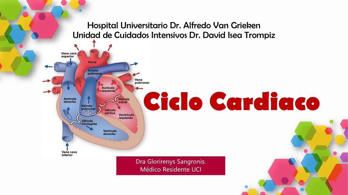 Ciclo cardiaco | Dra. Glori | uDocz