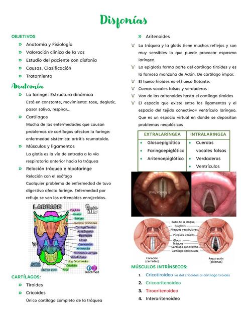 Disfonías | Tania Duque García | uDocz