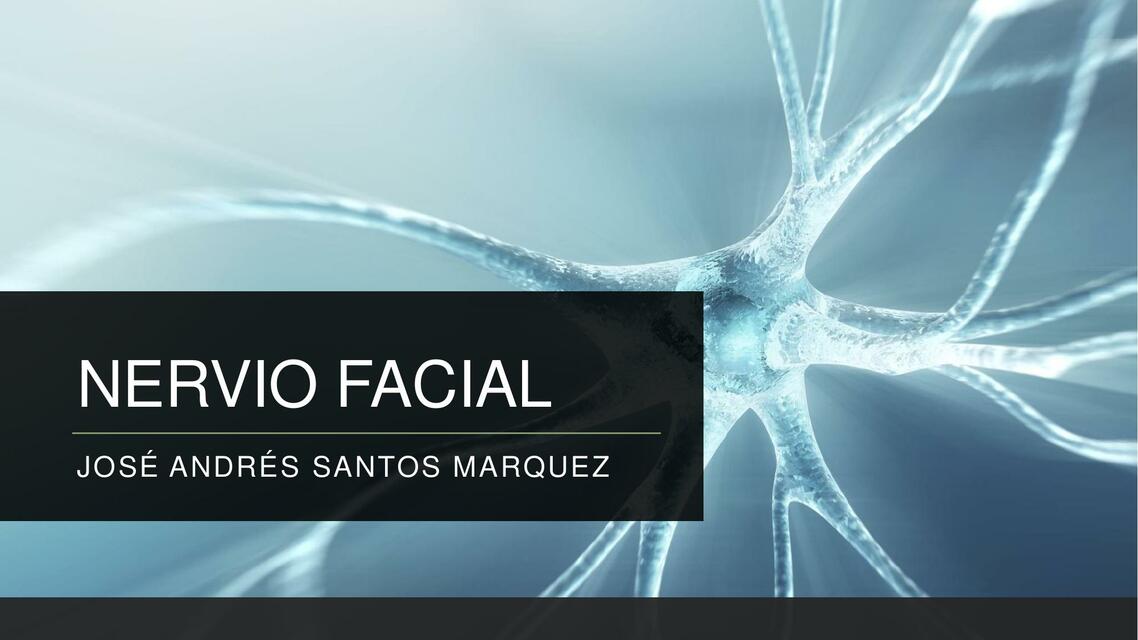 Flashcards de Nervio Facial | Por Mendoza26 | uDocz