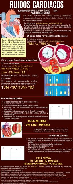 Ruidos cardíacos | Vane Sánchez | uDocz