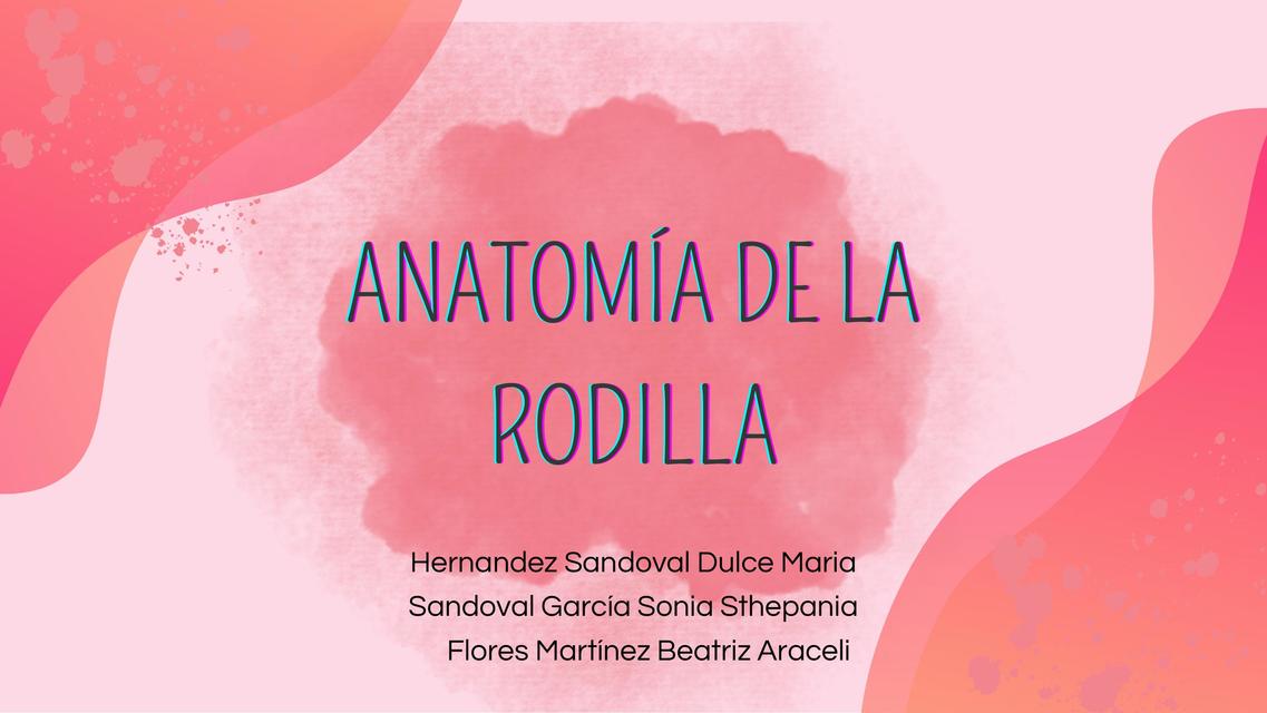 Anatomía de la rodilla | Ismael Pedraza Mejia | uDocz