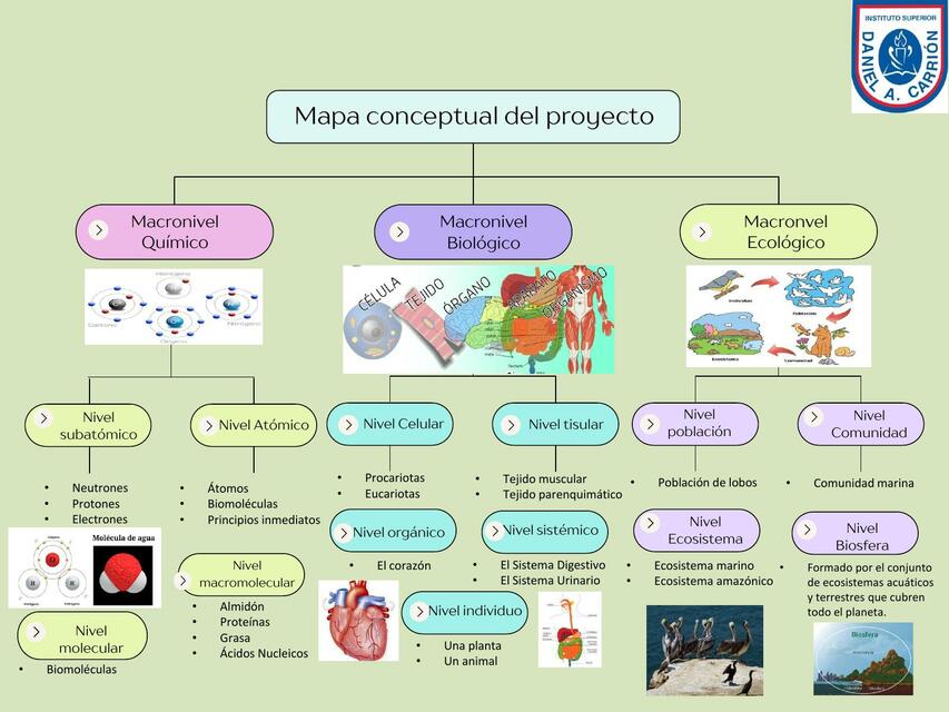 Mapa Conceptual De Biologia