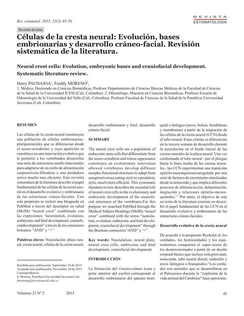 Células de la Cresta Neural | dymedicina | uDocz