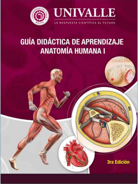 Guía didáctica de aprendizaje anatomía humana I | Melani Paredes | uDocz