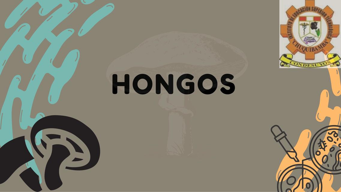 Hongos patológicos | osean.enf | uDocz