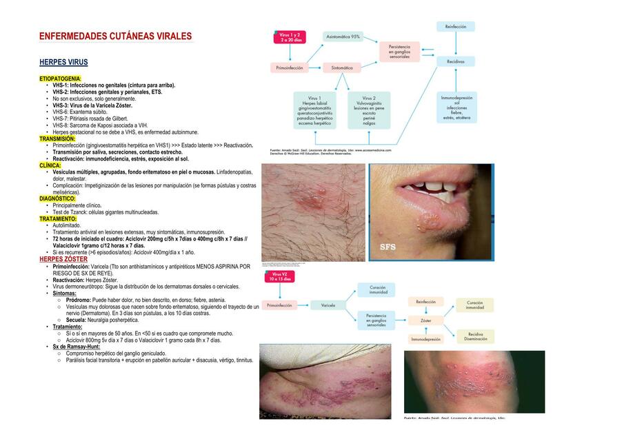 Enfermedades Virales De La Piel | Alejandro | uDocz