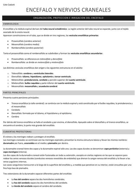 Encéfalo y Nervios Craneales | Celeste Codutti | uDocz