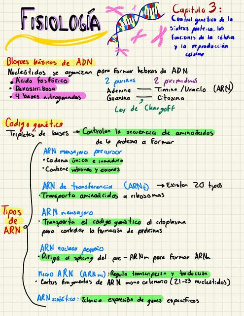 Guyton Fisiología Capítulo 3 | Juan | uDocz