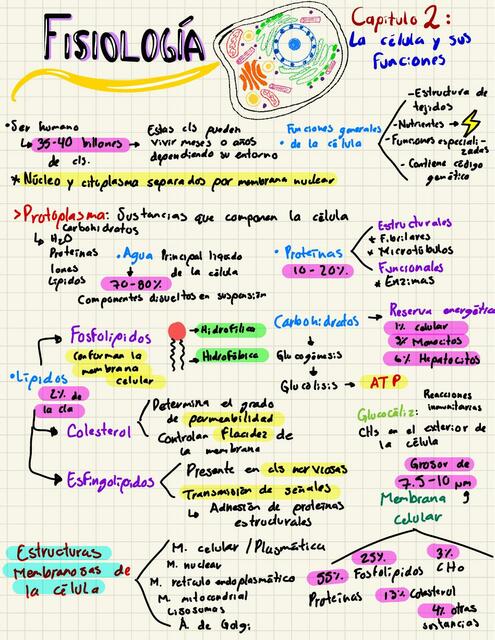 Guyton Fisiología Capítulo 2 | Juan | uDocz