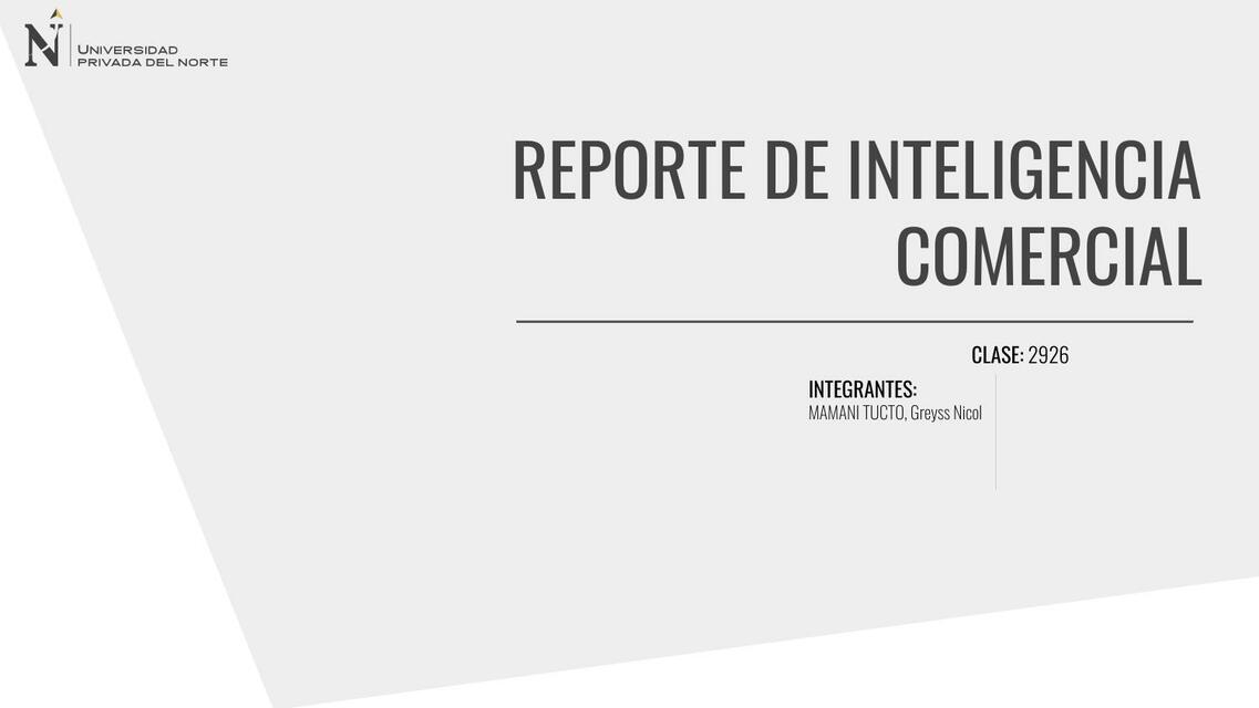 Inteligencia Comercial Udocz
