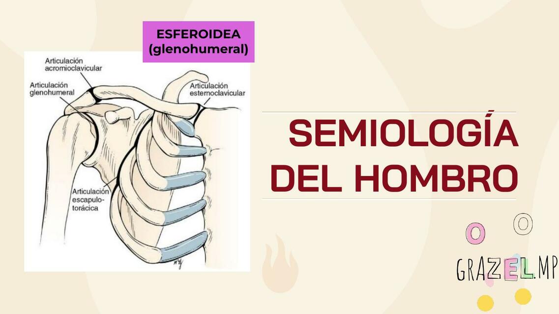 Semiologia del Hombro | Grazel MP | uDocz