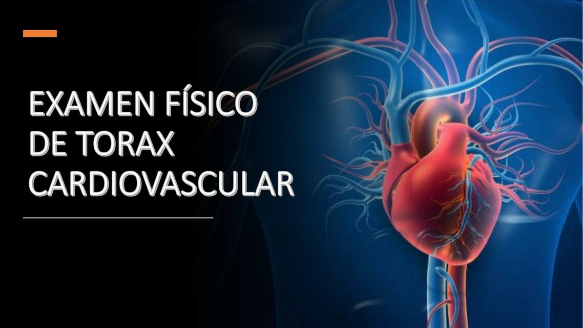 Esquema De Tórax Cardiovascular Pulso Venoso y Arterial | Briggitte ...