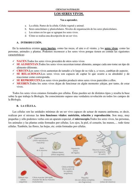 Ciencias naturales, los seres vivos | Biología General | uDocz