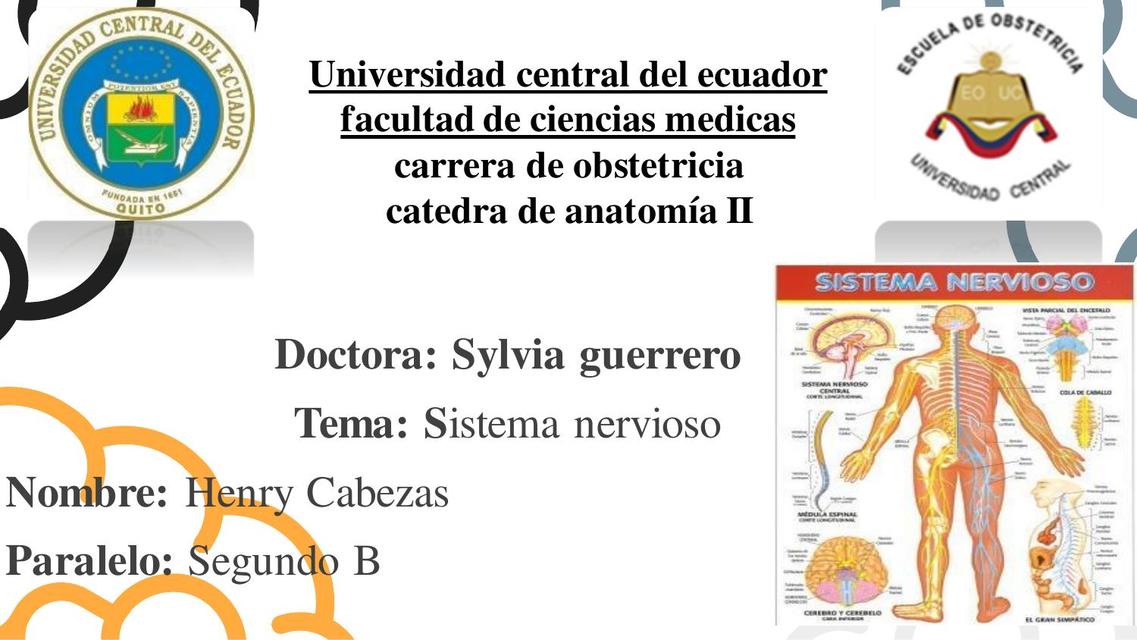 Sistema nervioso | Henry Cabezas | uDocz