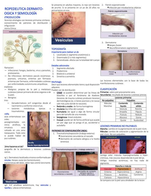 Propedéutica Dermatología | MEDIKA NOTES | uDocz