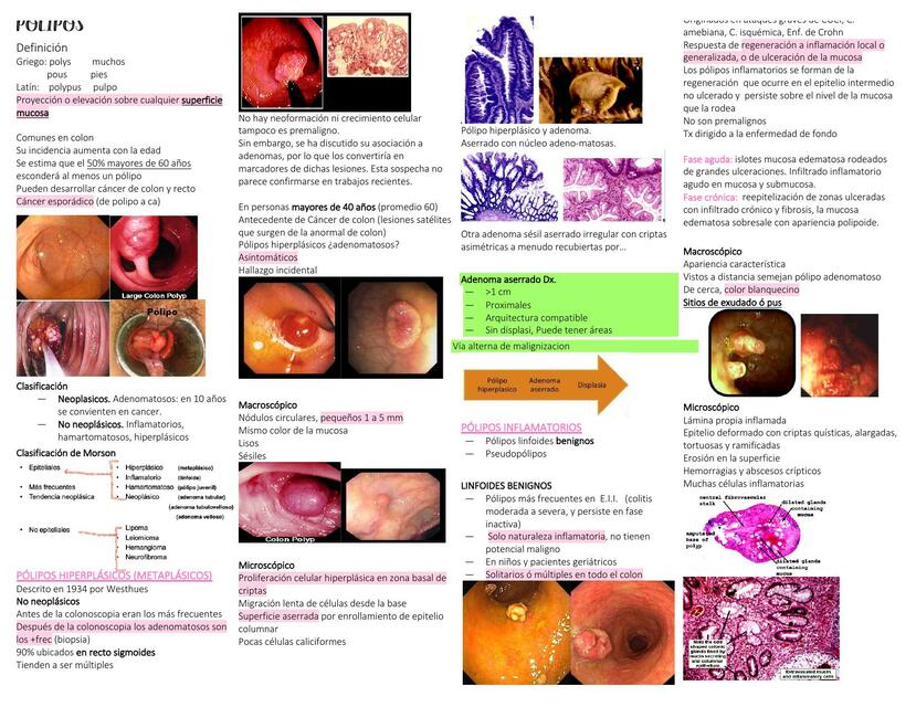 Pólipos De Colon | MEDIKA NOTES | uDocz