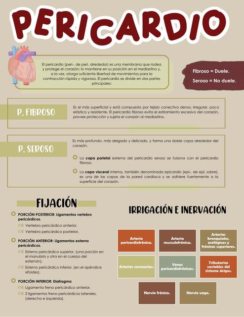 Pericardio | Ale Durán 🩷 | uDocz