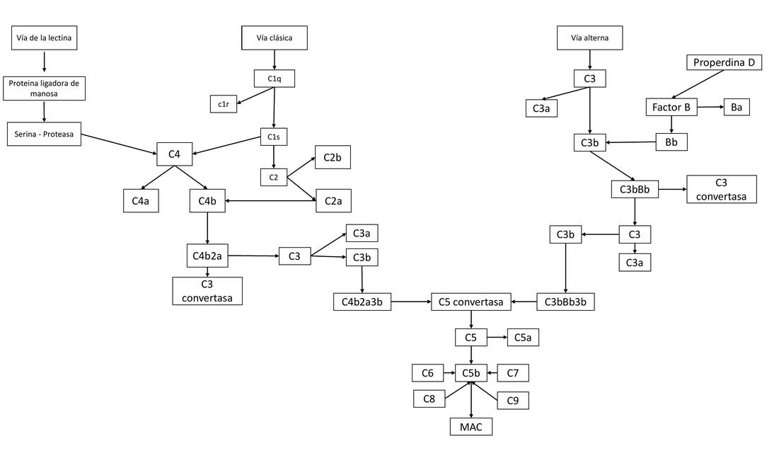 Vía del Complemento | JoseVis | uDocz