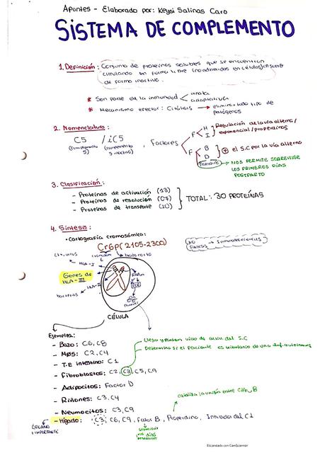 SISTEMA DE COMPLEMENTO (VIA CLASICA ALTERNA DE LAS LECTINAS) | Keysi Salinas Caro | uDocz