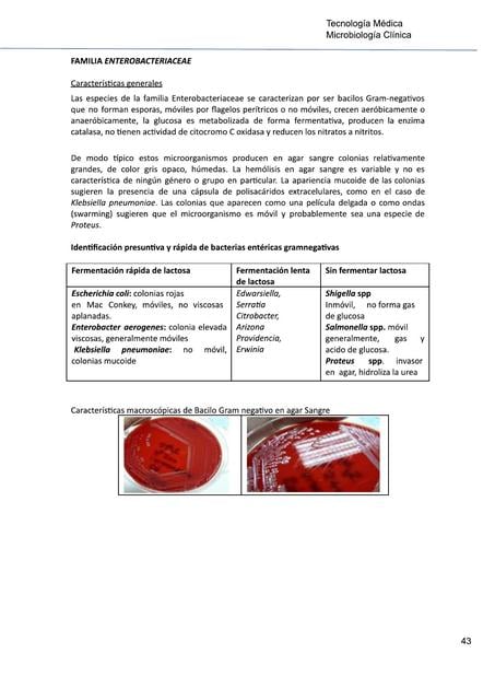 Enterobacterias | Nicole | uDocz
