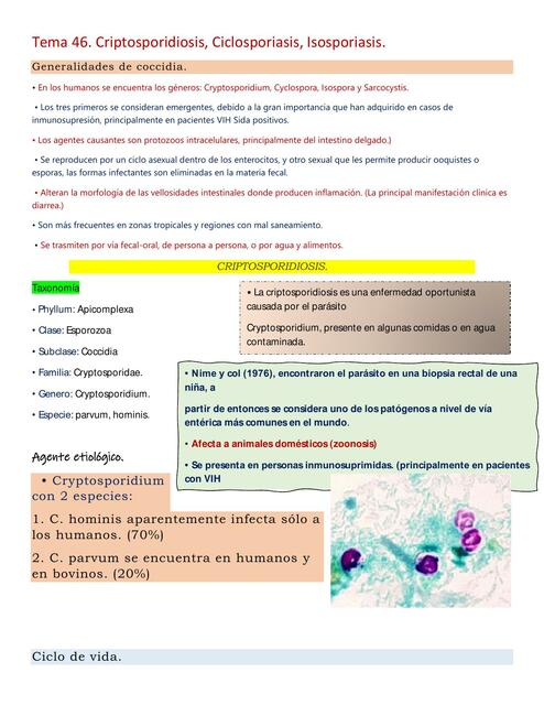 Resúmenes de Ciclosporiasis | Descarga apuntes de Ciclosporiasis