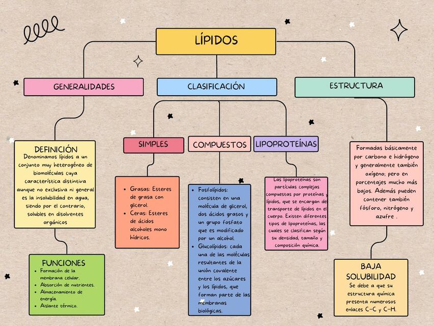 Los lípidos | Nicolle Medina Montenegro | uDocz