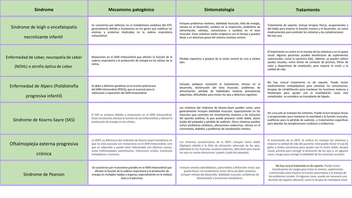 Flashcards de Tabla Enfermedades mitocondriales | Por Mafer | uDocz
