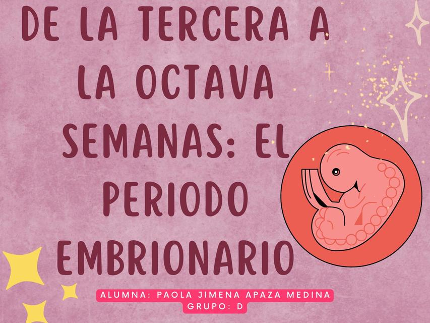 De la tercera y la octava semanas el Periodo embrionario | PAOLA JIMENA APAZA MEDINA | uDocz