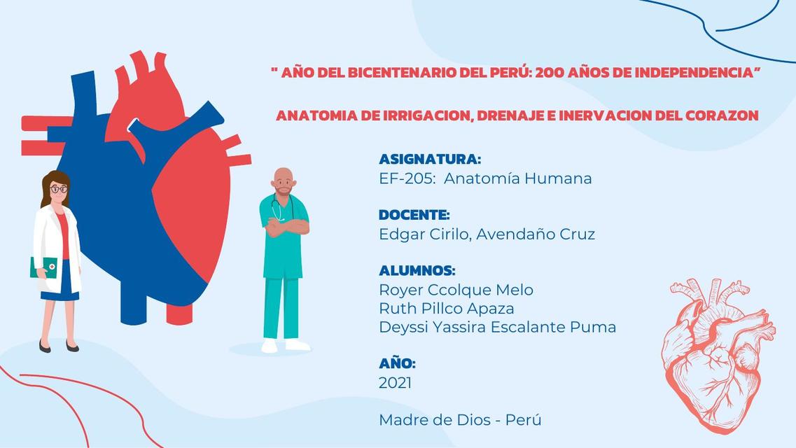 Anatomía de irrigación, drenaje e inervación del corazón | Royer Melo ...