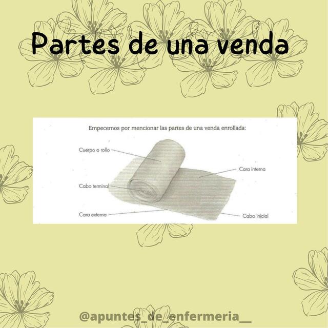 Partes de una Venda | Diana Gonzalez | uDocz