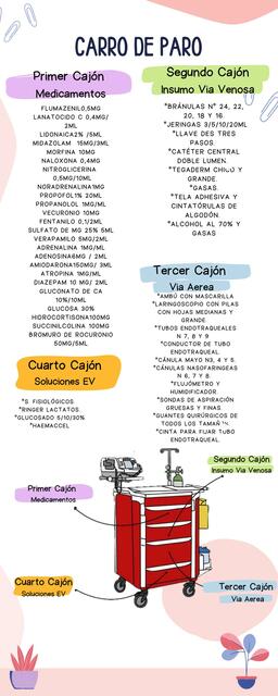 Carro de Paro | Mena Escobedo | uDocz