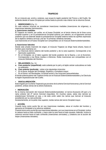 Trapecio | Nirvana. | uDocz