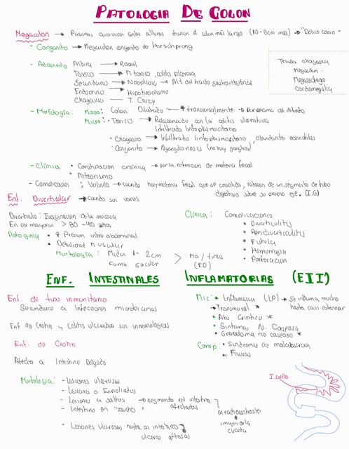 Patología de Colon | Damaris Quispe Paredes | uDocz