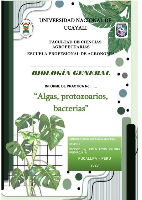 Formato de practicas de Biología General | Ofelia | uDocz