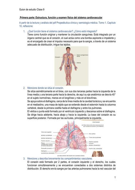 Estructura, función y examen físico del sistema cardiovascular | Abril ...