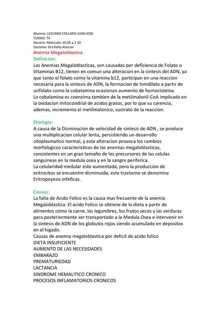 Anemia Megaloblástica | Juan Jose | uDocz
