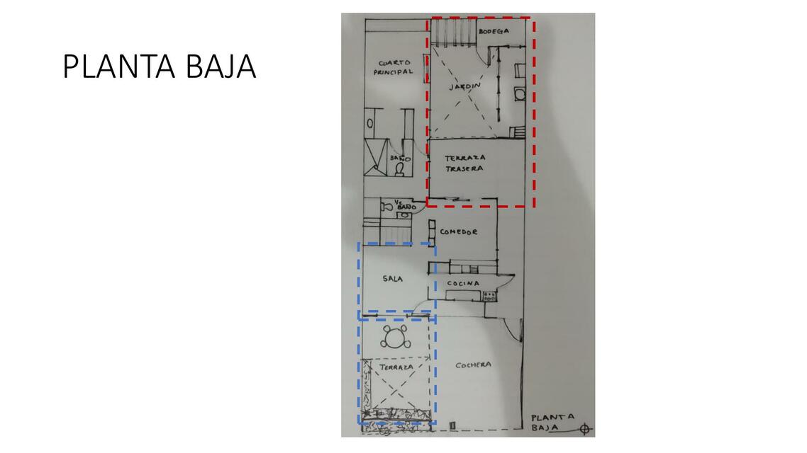 Planta | EMMA TORRES | uDocz