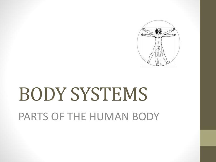 Body Systems | Iveth Salazar | uDocz