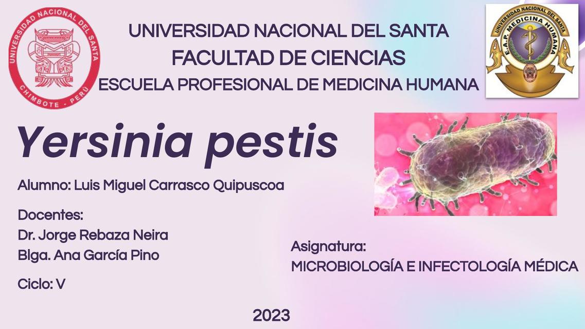 Yersinia pestis | Luis Miguel | uDocz