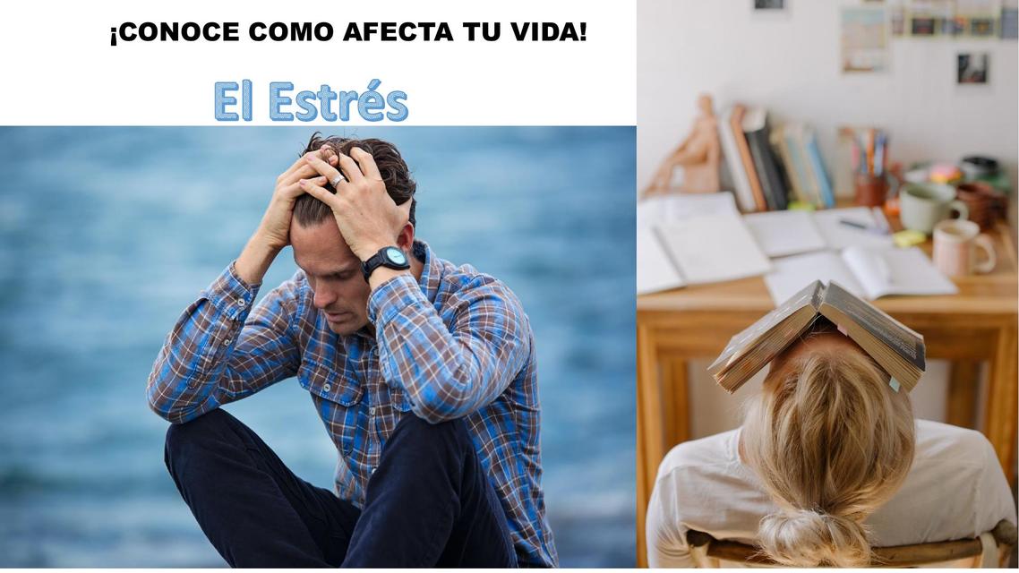 El Estrés | Maria Nela Pedroza | uDocz