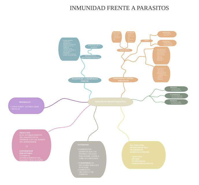 Inmunidad frente a parásitos | Karyme Saavedra | uDocz