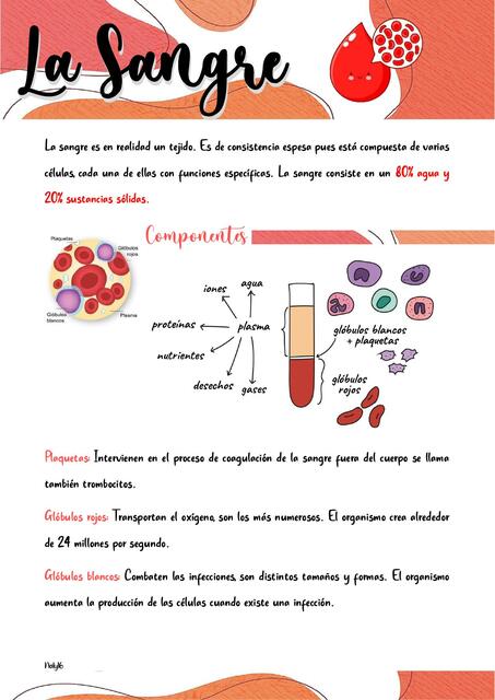 La sangre resumen | Naly | uDocz