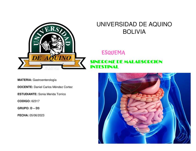 Esquema de síndrome de malabsorción intestinal | Markar | uDocz