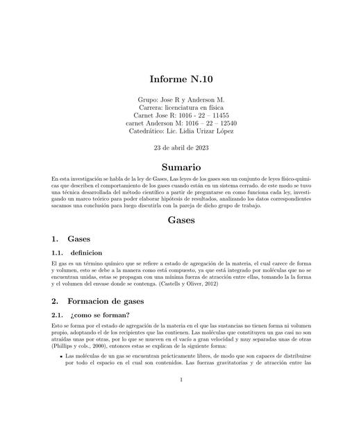 Informe N 10 | josé Ramos | uDocz