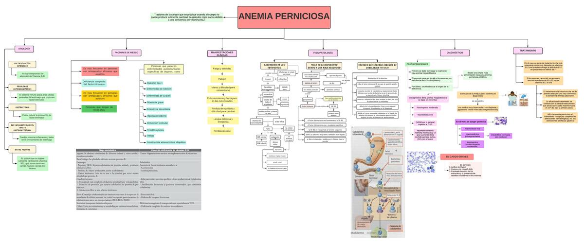 Mapa de anemia perniciosa | MEDIC-MICA | uDocz