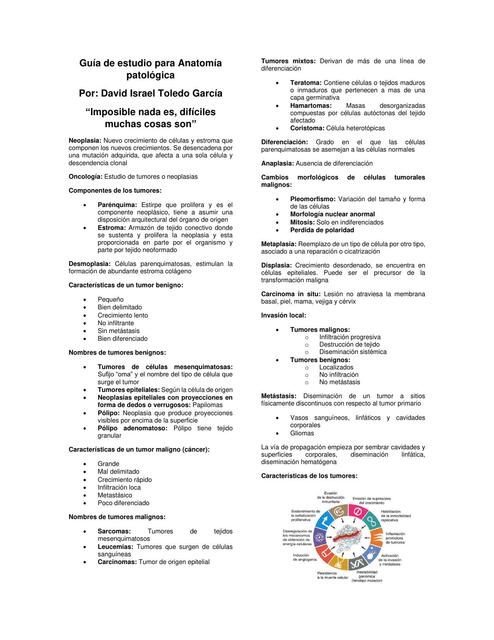 Guía de Estudio para Anatomía Patológica | Sergio Morrison | uDocz